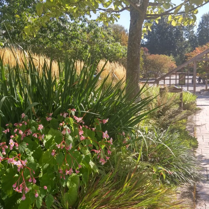 Center for Urban Horticulture | University of Washington Botanic Gardens