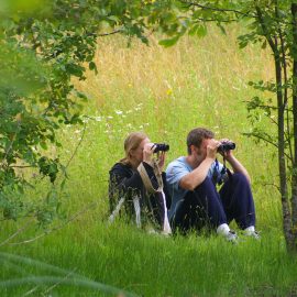 Union Bay Natural Area | University of Washington Botanic Gardens