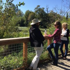 Yesler Swamp | University of Washington Botanic Gardens
