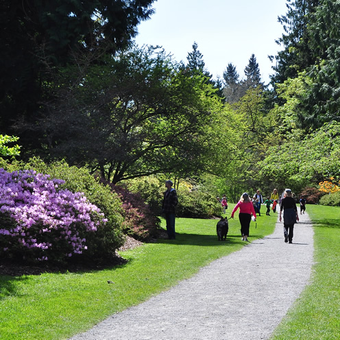 Washington Park Arboretum | University of Washington Botanic Gardens