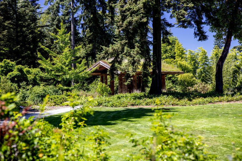 Washington Park Arboretum | University of Washington Botanic Gardens