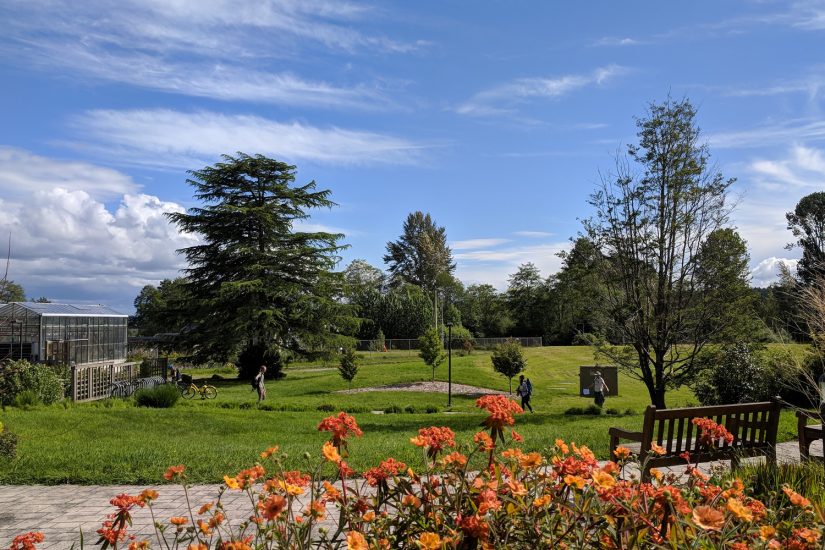 Center for Urban Horticulture | University of Washington Botanic Gardens