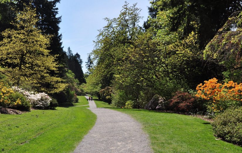 Washington Park Arboretum | University of Washington Botanic Gardens