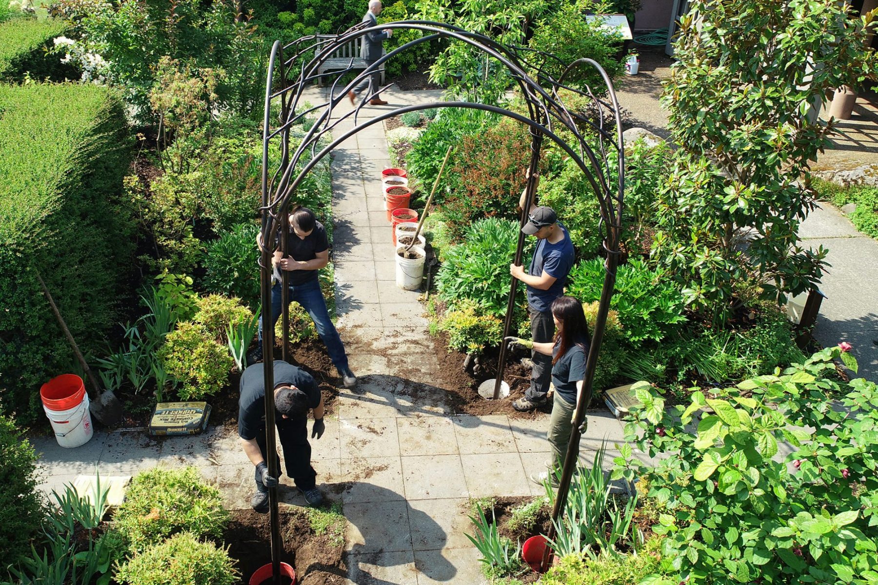 New Arbor Installed in the Seattle Garden Club Fragrance Garden