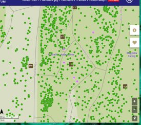 Purple Dots: A Dive into the Washington Park Arboretum’s Interactive Map