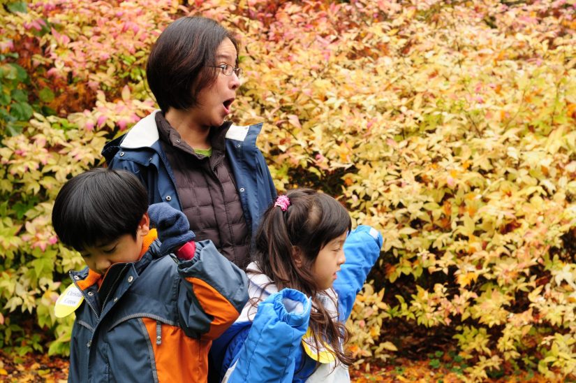 Exploration Kits | University of Washington Botanic Gardens
