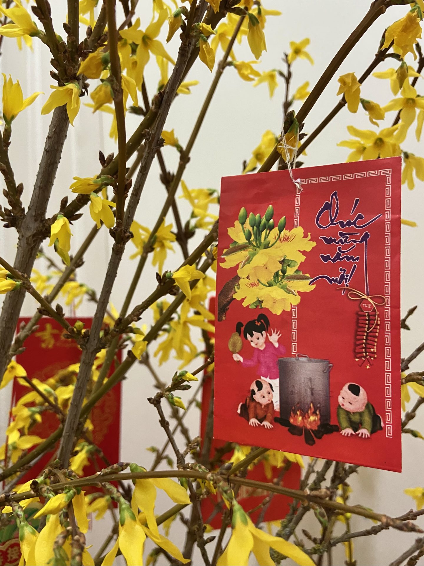 Lunar New Year and the Legend of the Mai Flower