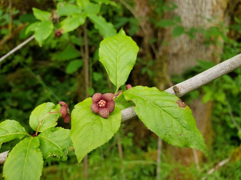 Notes from the Field