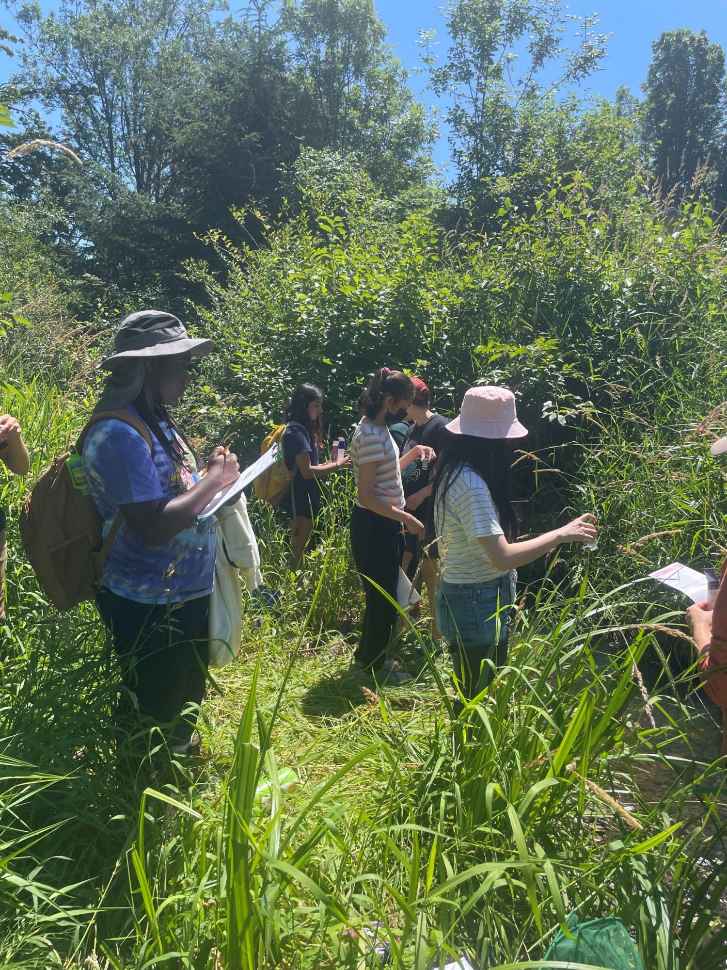 Youth Summer Internship | University of Washington Botanic Gardens
