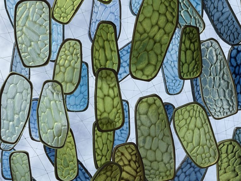 Art at the Arboretum: John Grade | University of Washington Botanic Gardens