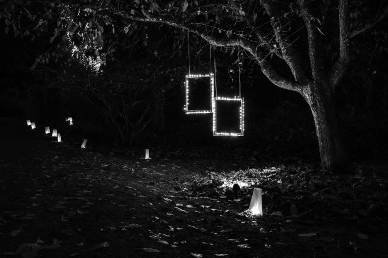 Valentine’s Day Luminary Walk 2025 | University of Washington Botanic ...
