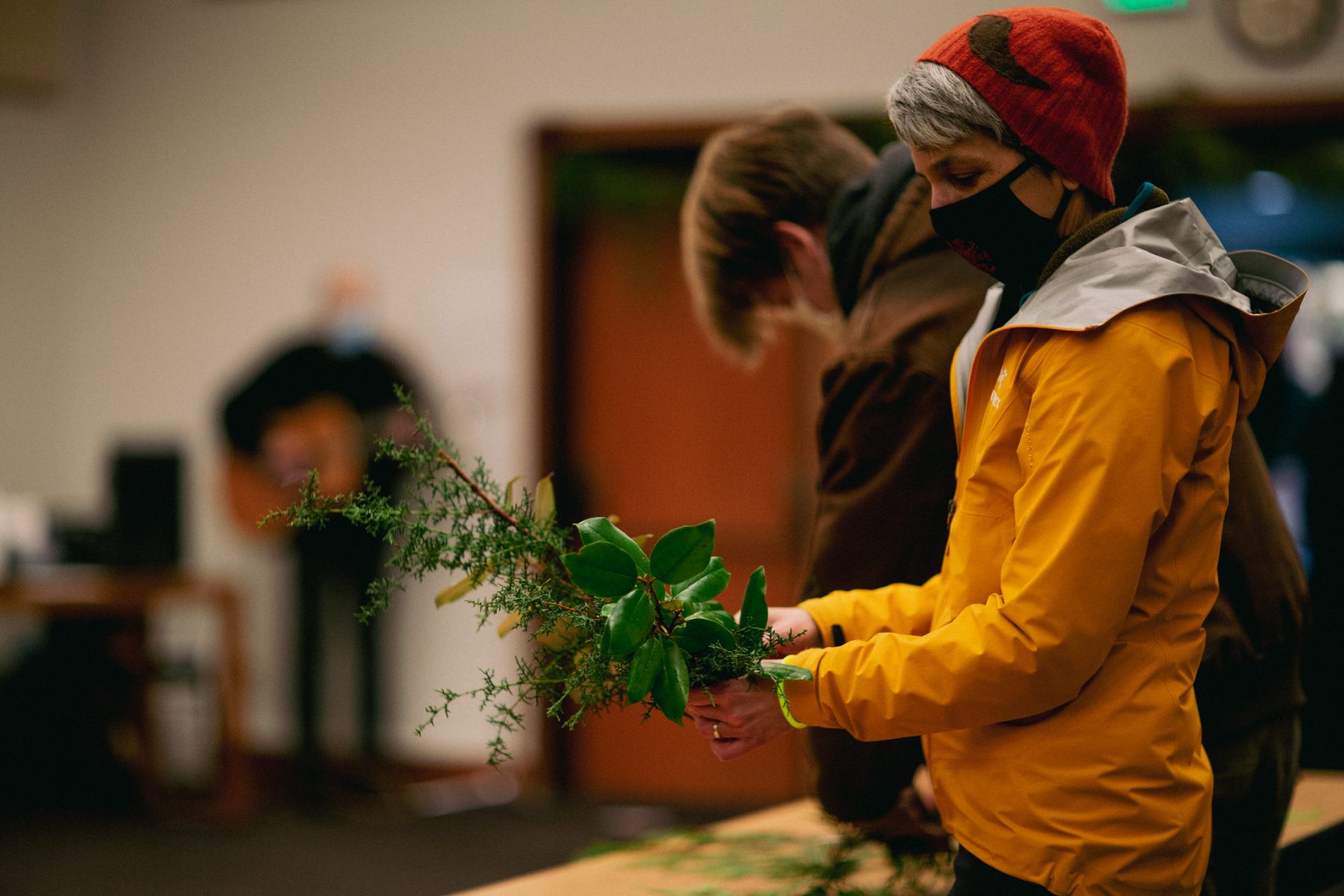 Arboretum Winter Solstice Walk | University of Washington Botanic Gardens