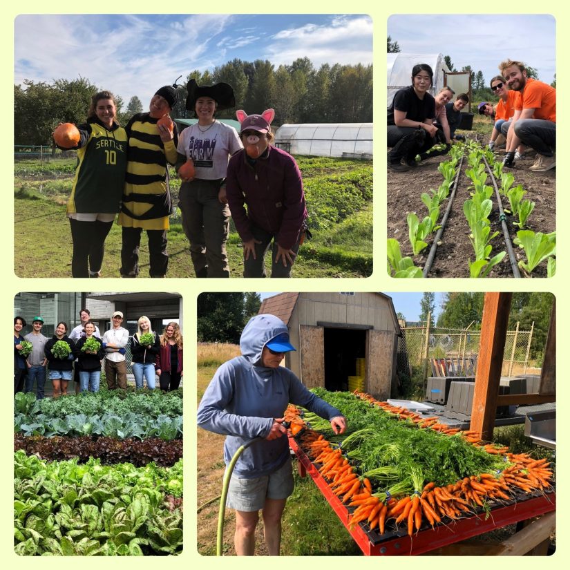 UW Farm Weekly Dirt: That’s a Wrap!