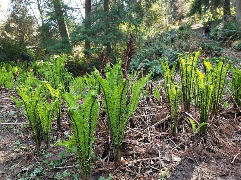 November Staff Profile: Roy Farrow