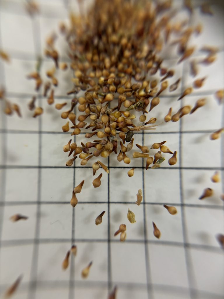 Creating a Conservation Collection